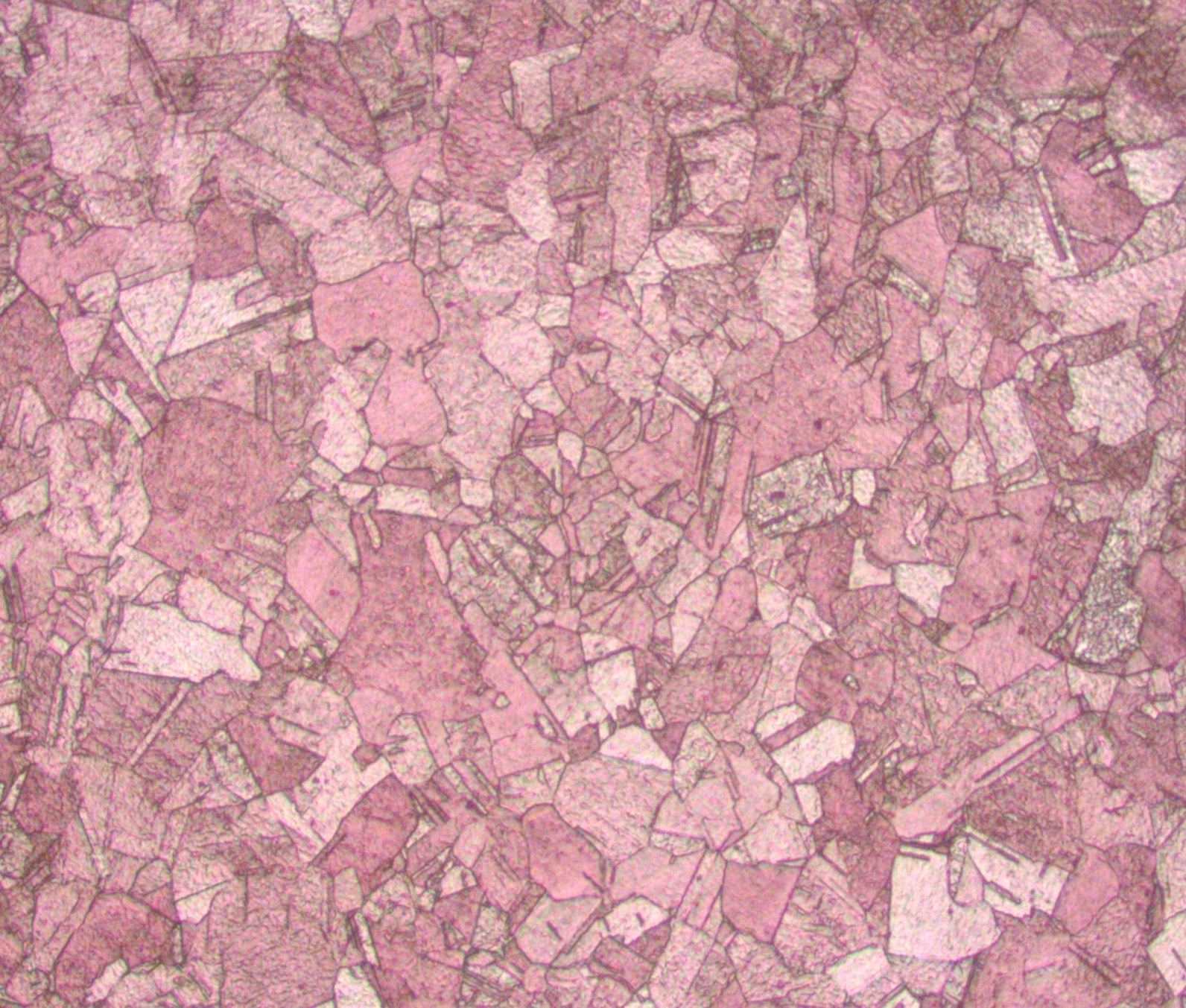 Copper - Metallographic Sample Preparation — OnPoint Abrasives